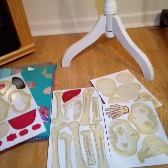 no brand | Toys | Build The Human Body Over 2 Foot Long Skeleton | Poshmark